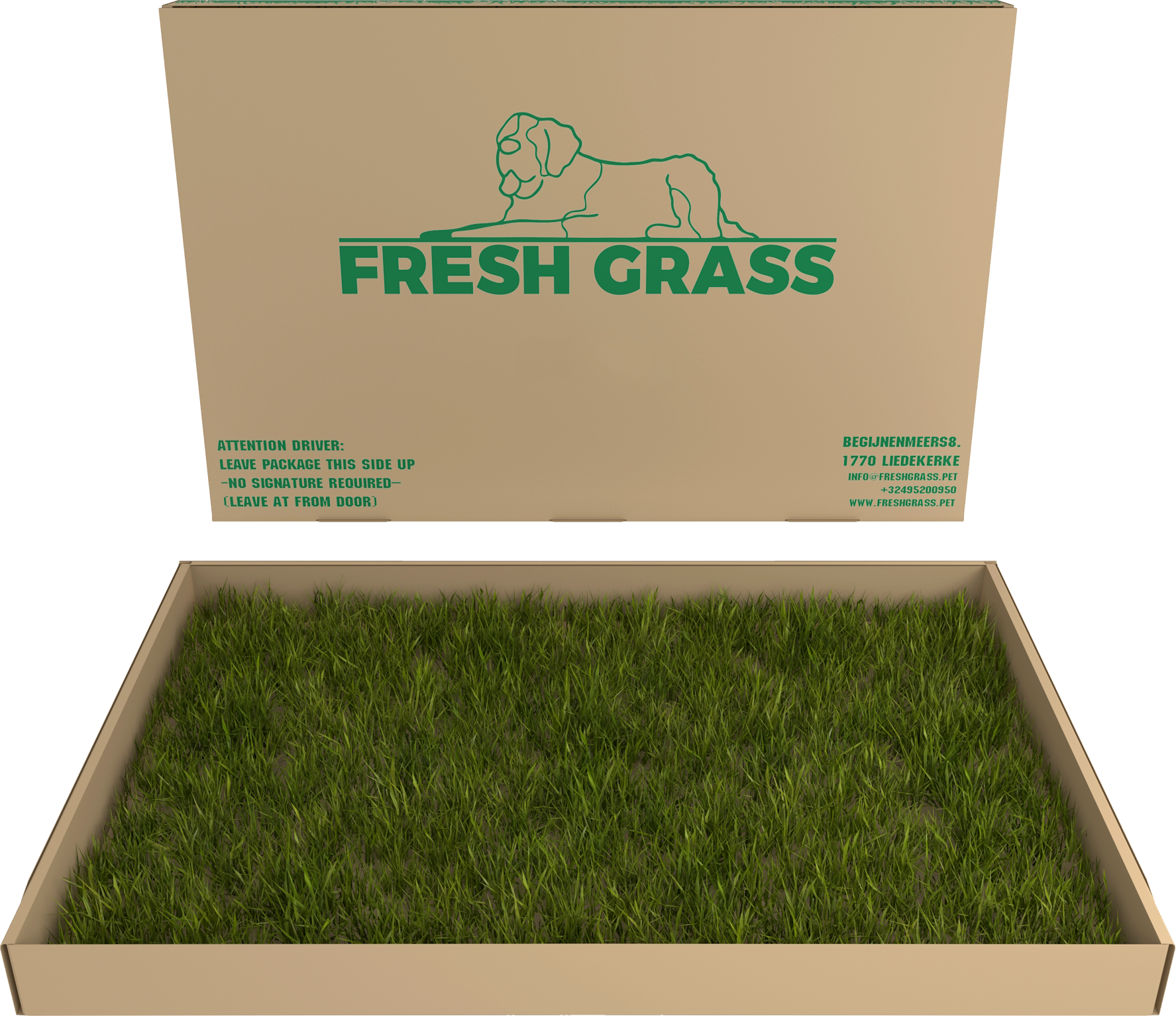 Fresh Grass - Natural Grass for Small & Medium Pets | Buy Now